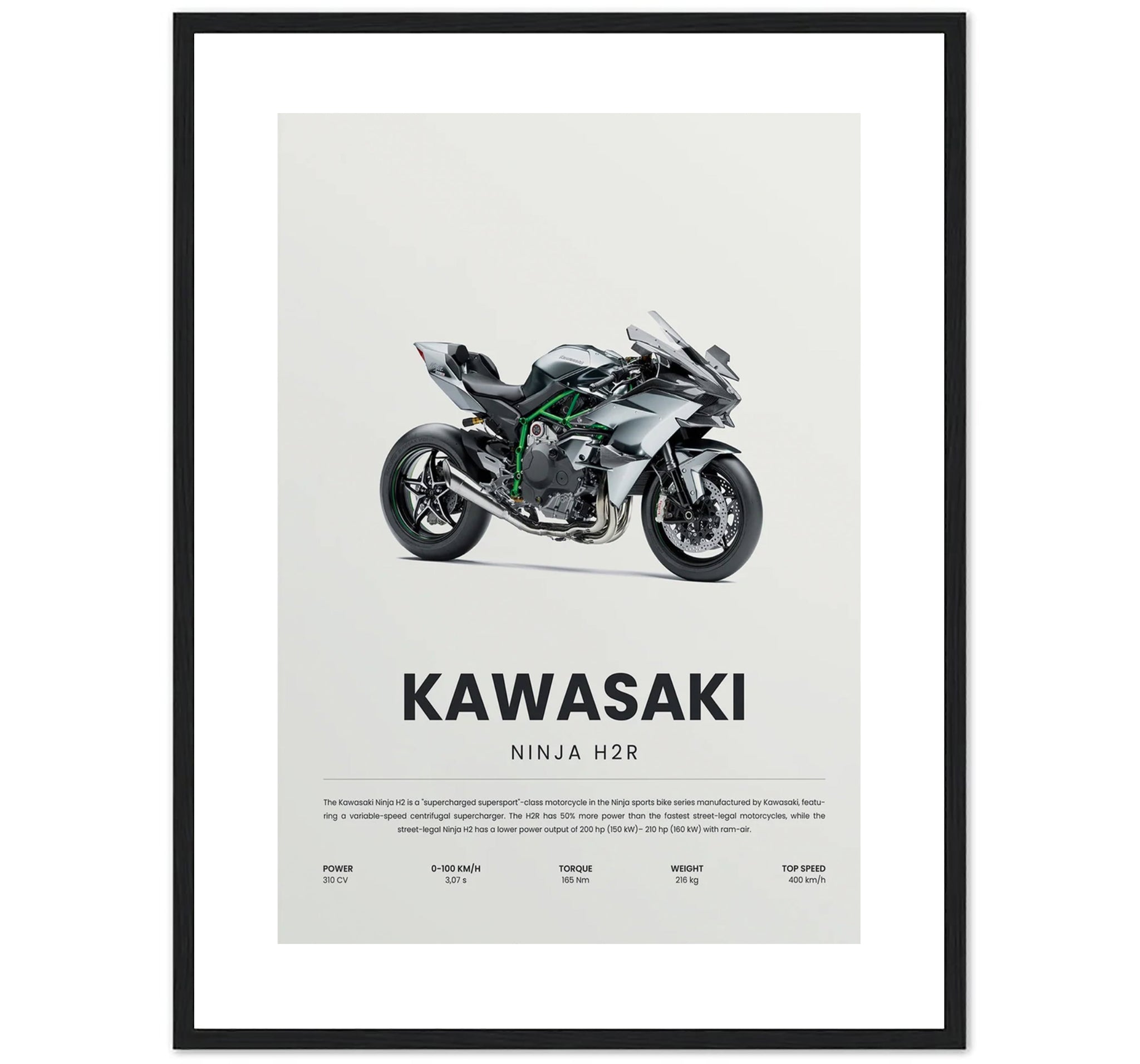 Ninja H2R Poster